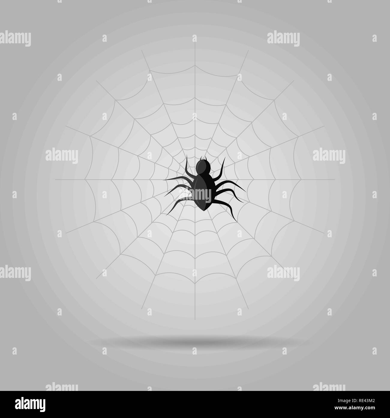 Vector illustration of Scary hairy black spider on web 10 eps Stock ...