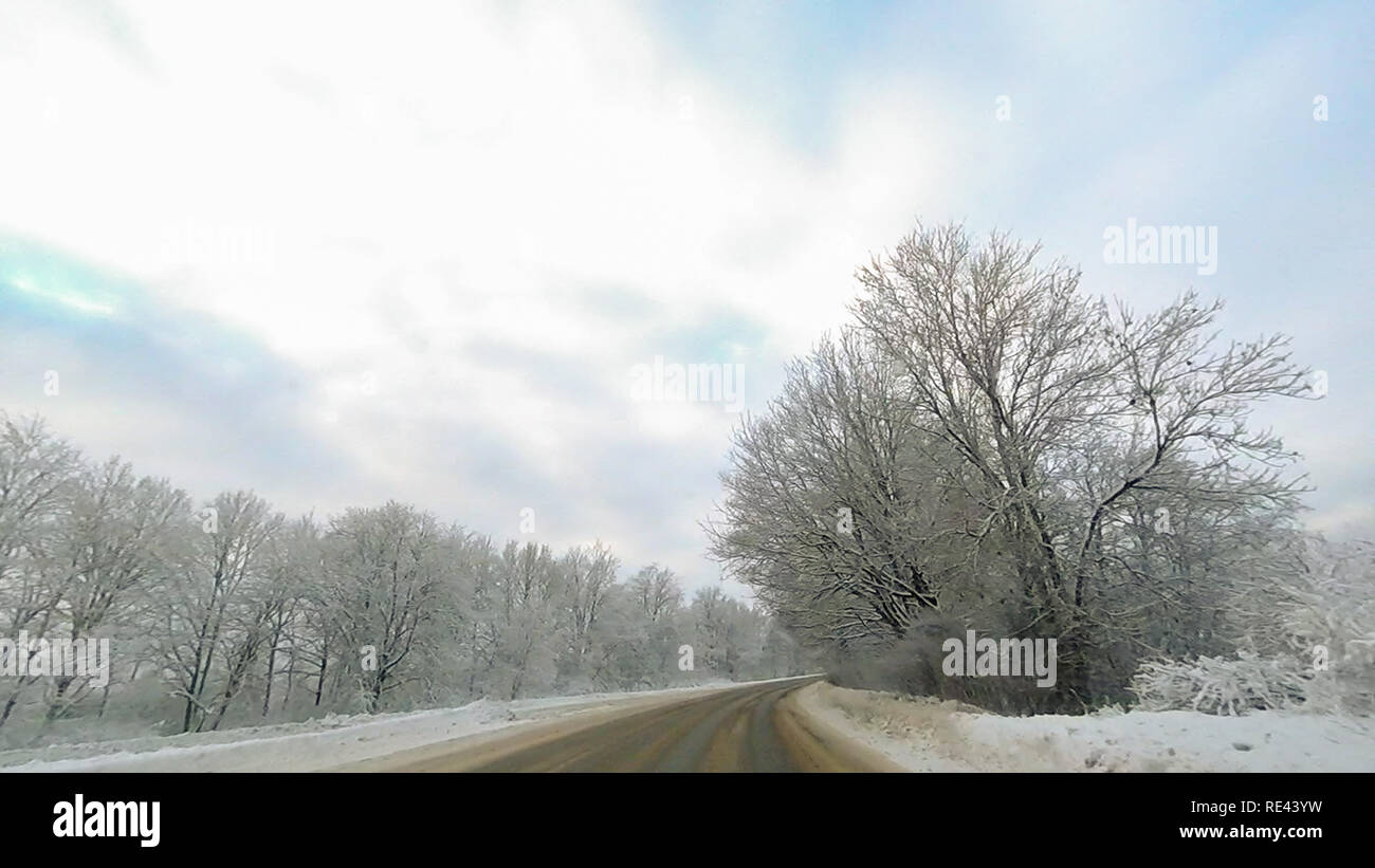 Country road in winter along the forest with white snow trees Stock ...