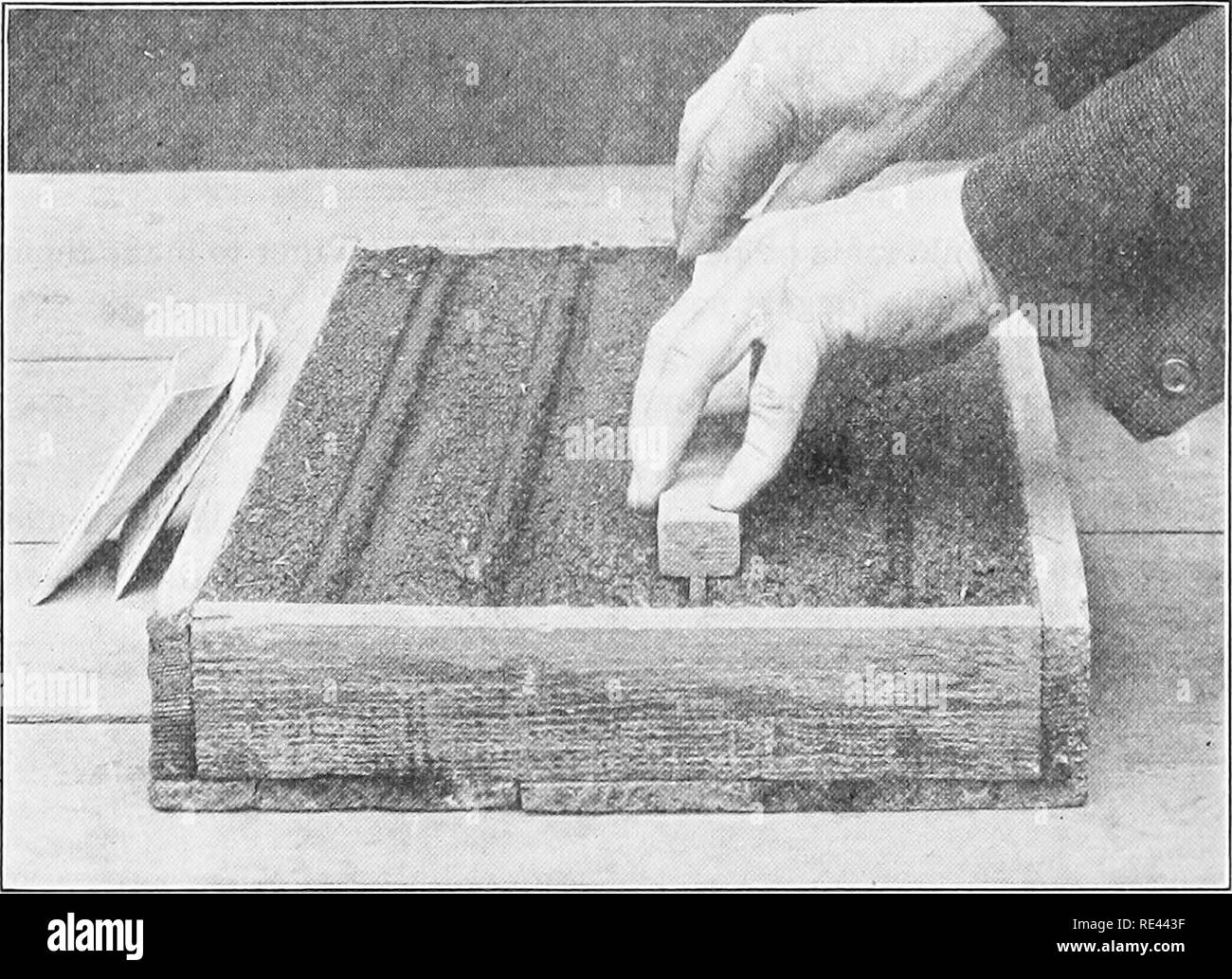 Lime marking Black and White Stock Photos & Images - Alamy