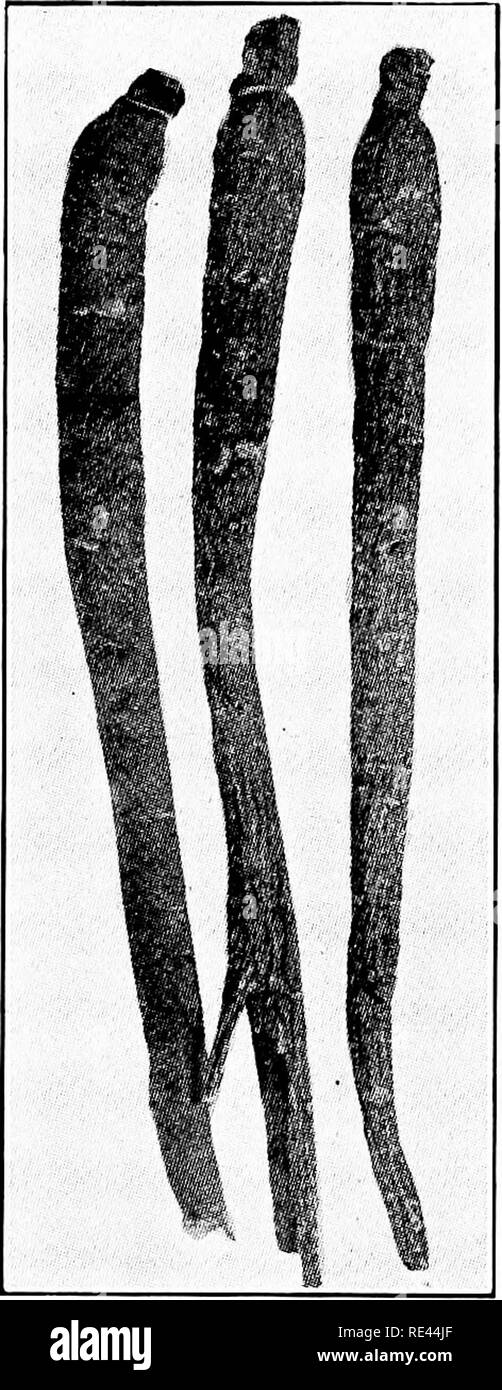 Transverse Wrinkles High Resolution Stock Photography and Images - Alamy