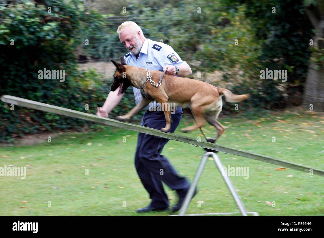 Police dog during training hi-res stock photography and images - Alamy