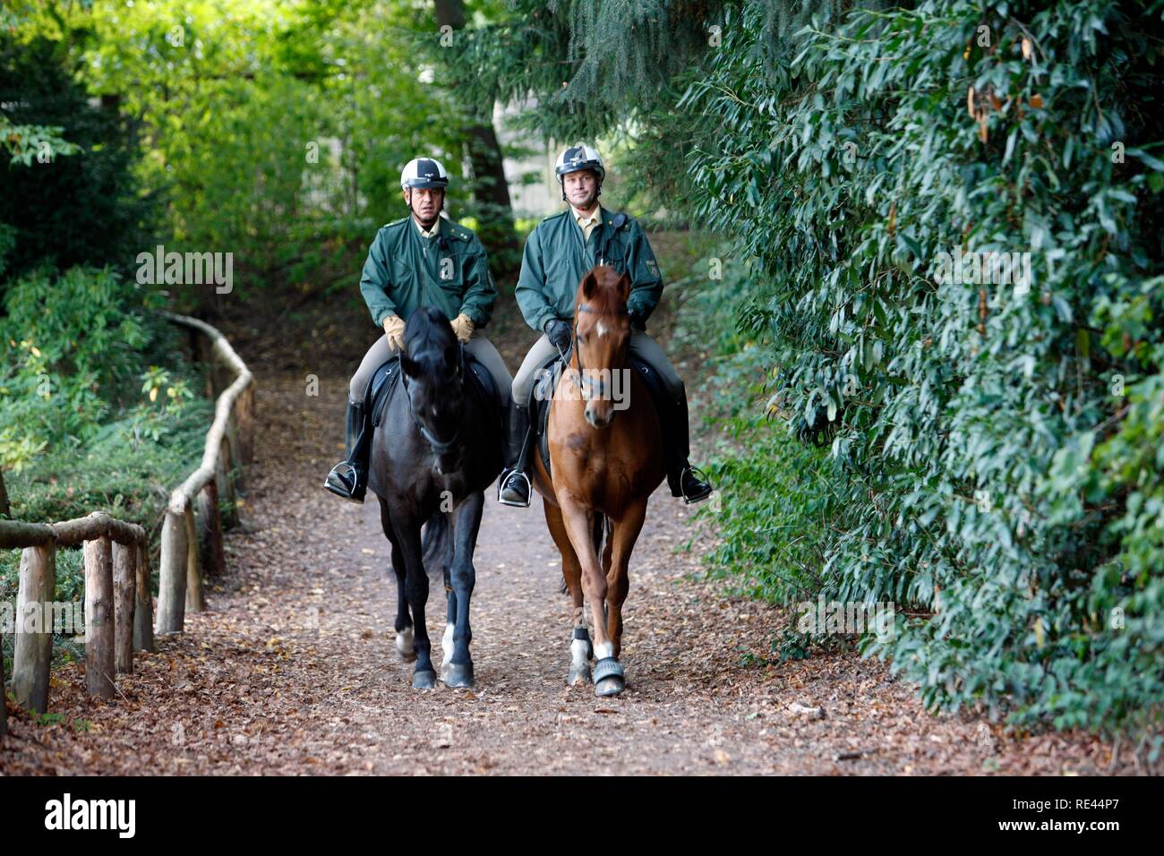 Mounted police patrolling in a wooded area, hiking trail Stock Photo ...