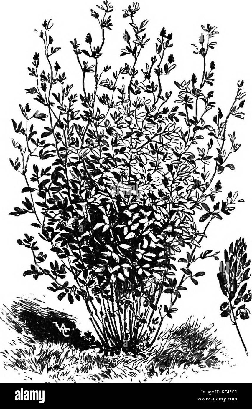 most unfavourable ground