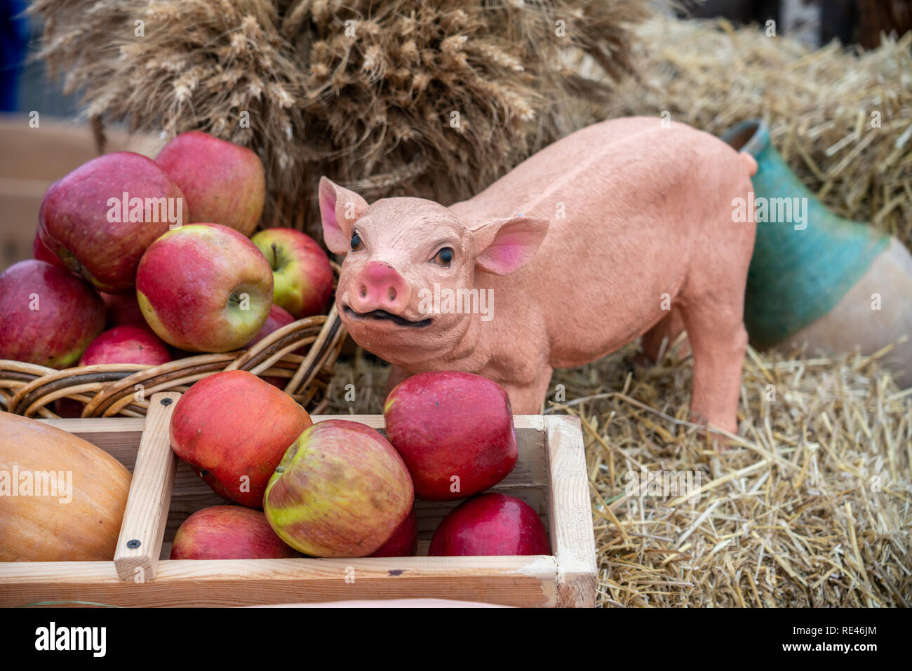 Clay pig on hay with apples, composition Stock Photo - Alamy