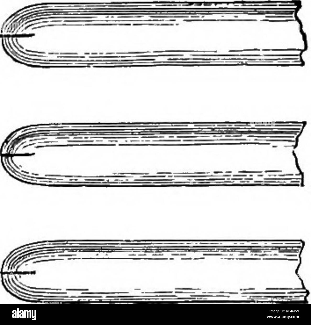 Bunsen 2 Black and White Stock Photos & Images - Alamy