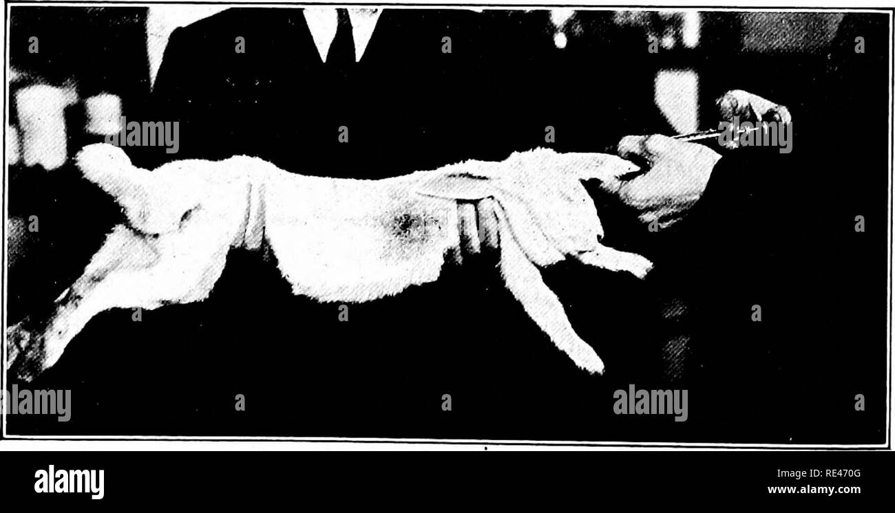 . A text-book of bacteriology; a practical treatise for students and ...