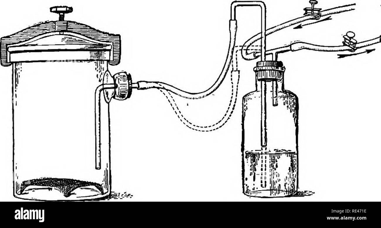 Pyrogallol hi-res stock photography and images - Alamy