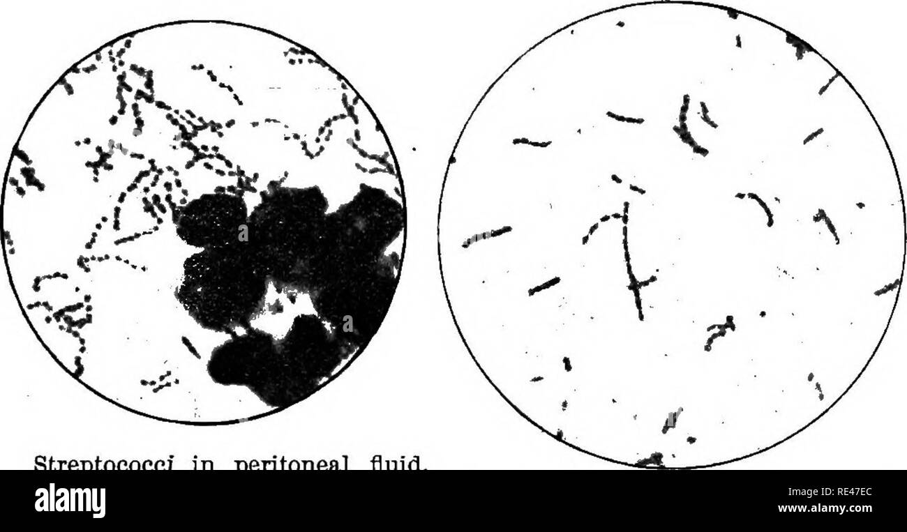 . Bacteriology in medicine and surgery. A practical manual for ...