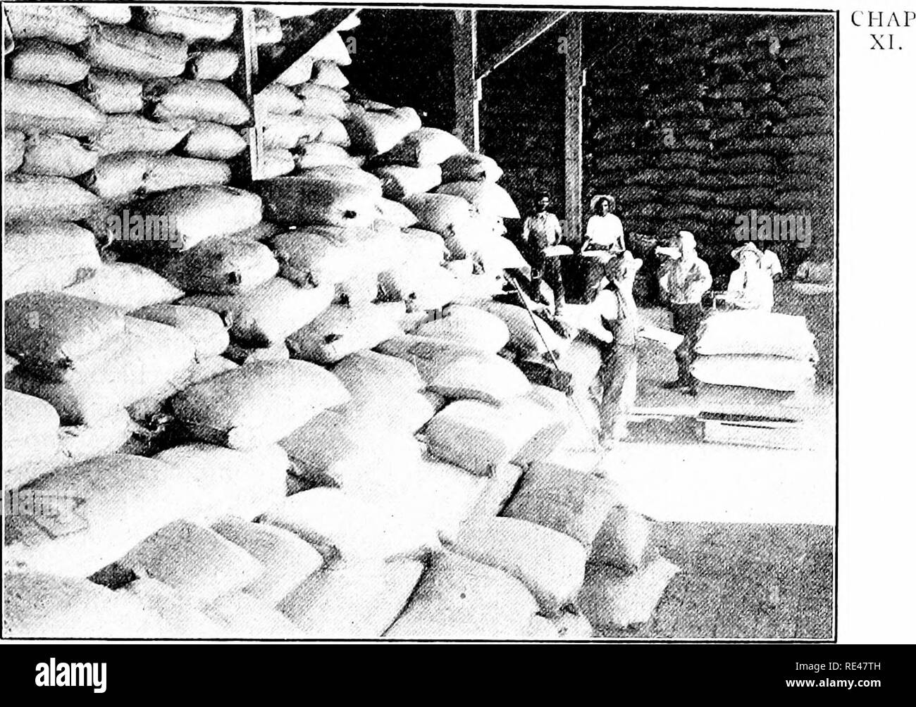 Maize storage africa hi-res stock photography and images - Alamy