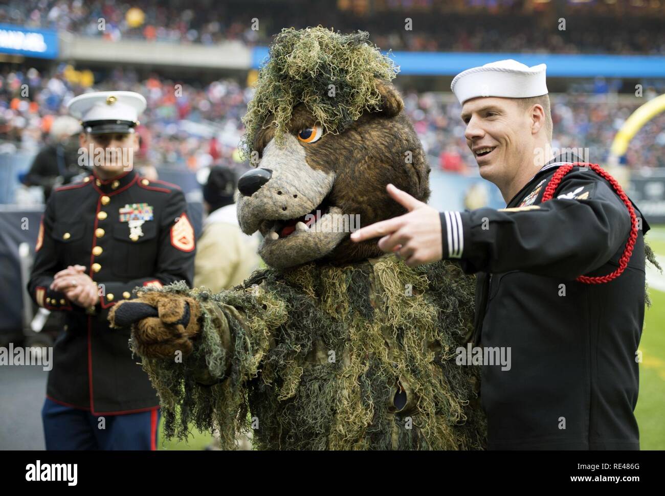 Staley da bear hi-res stock photography and images - Alamy