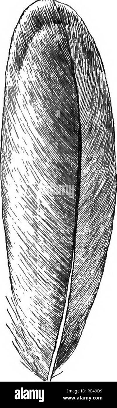 Unfigured Black and White Stock Photos & Images - Alamy