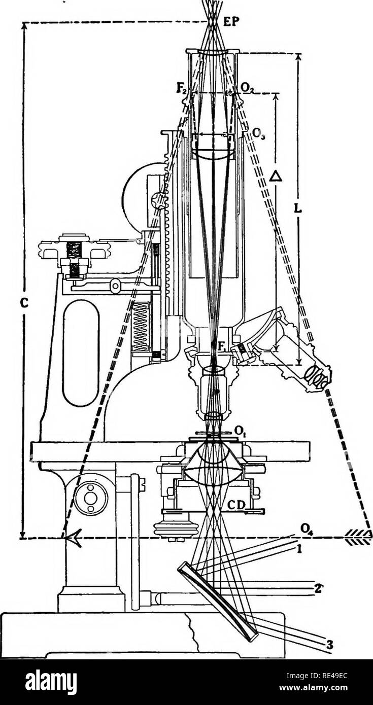 Anatomy Of The Microscope Mechanical Tube Length Tube Length Of