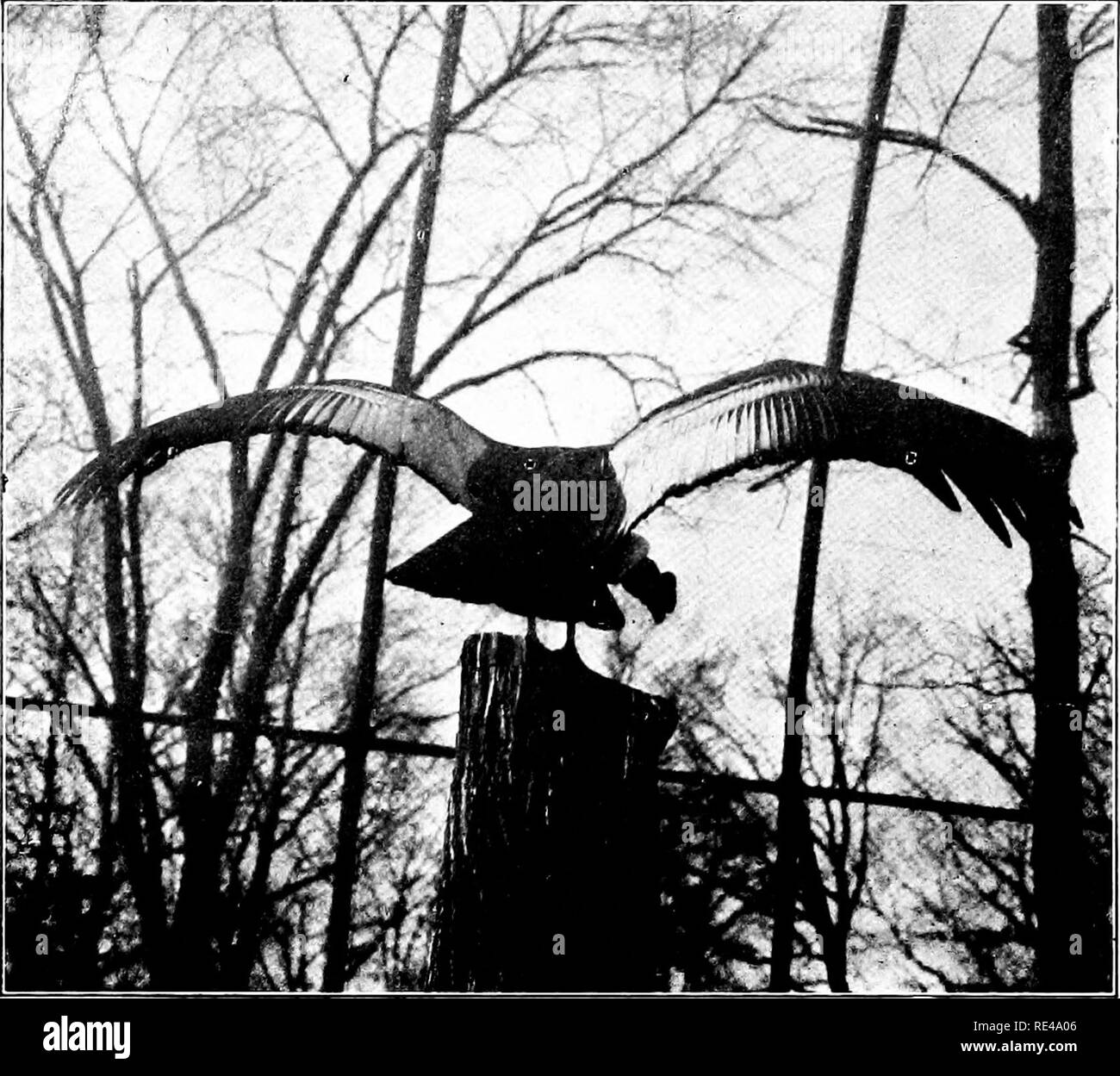 Mech movements hi-res stock photography and images - Alamy