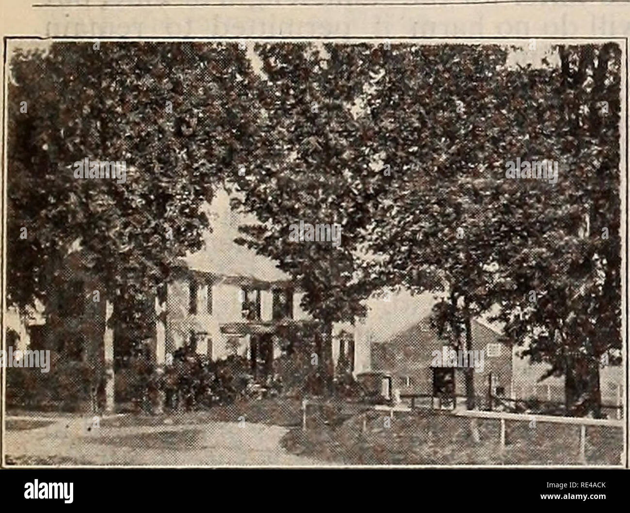 Cackle fruit hi-res stock photography and images - Alamy