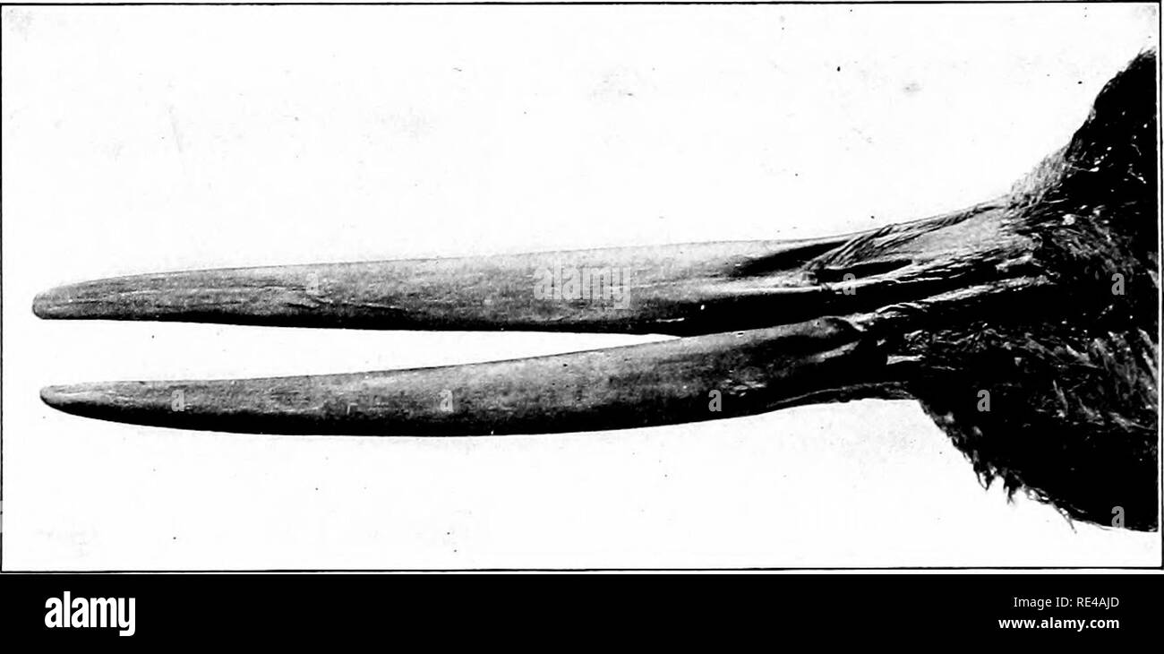 Pried open Black and White Stock Photos & Images - Alamy