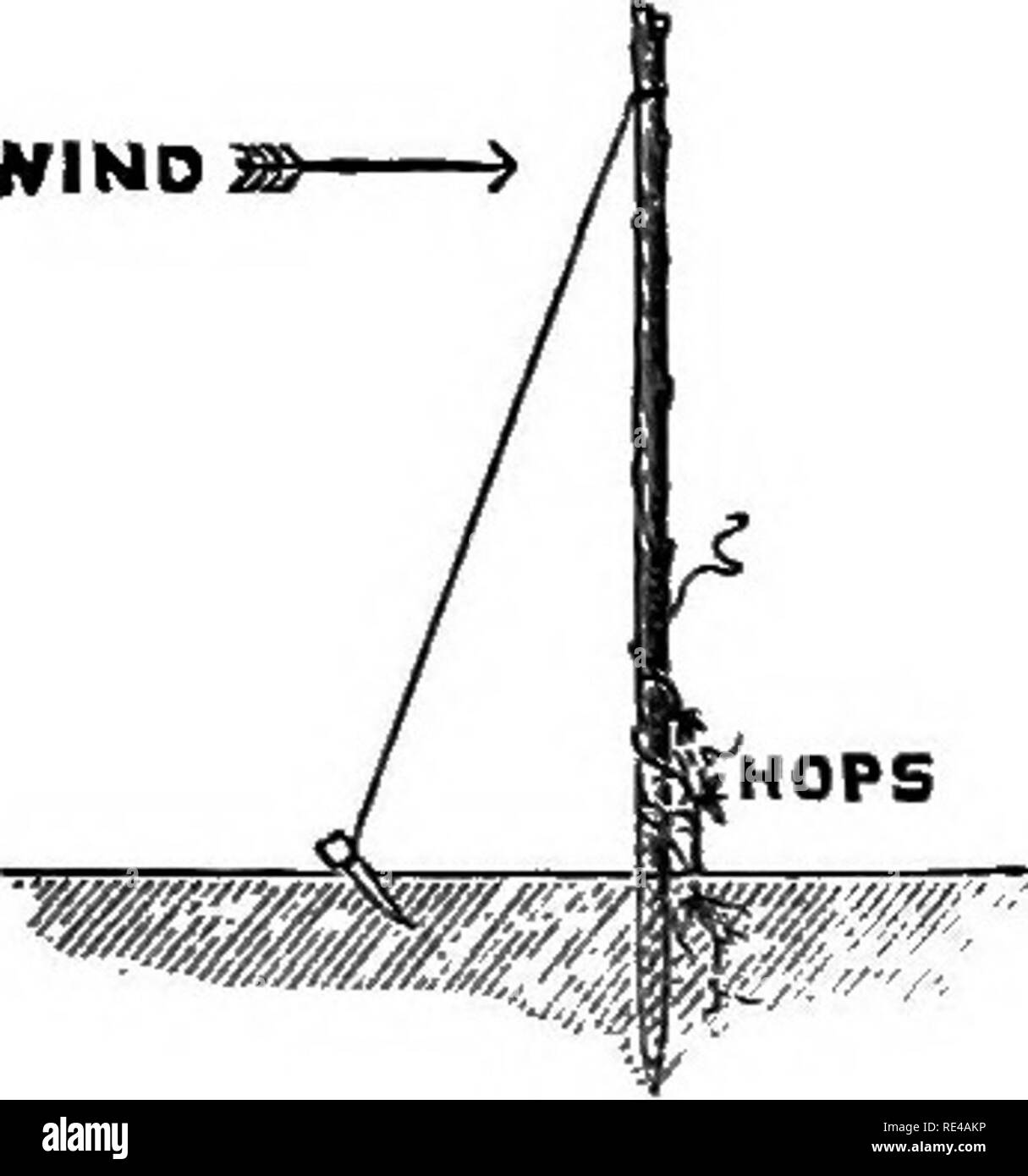 Knife Trap Most Dangerous Game