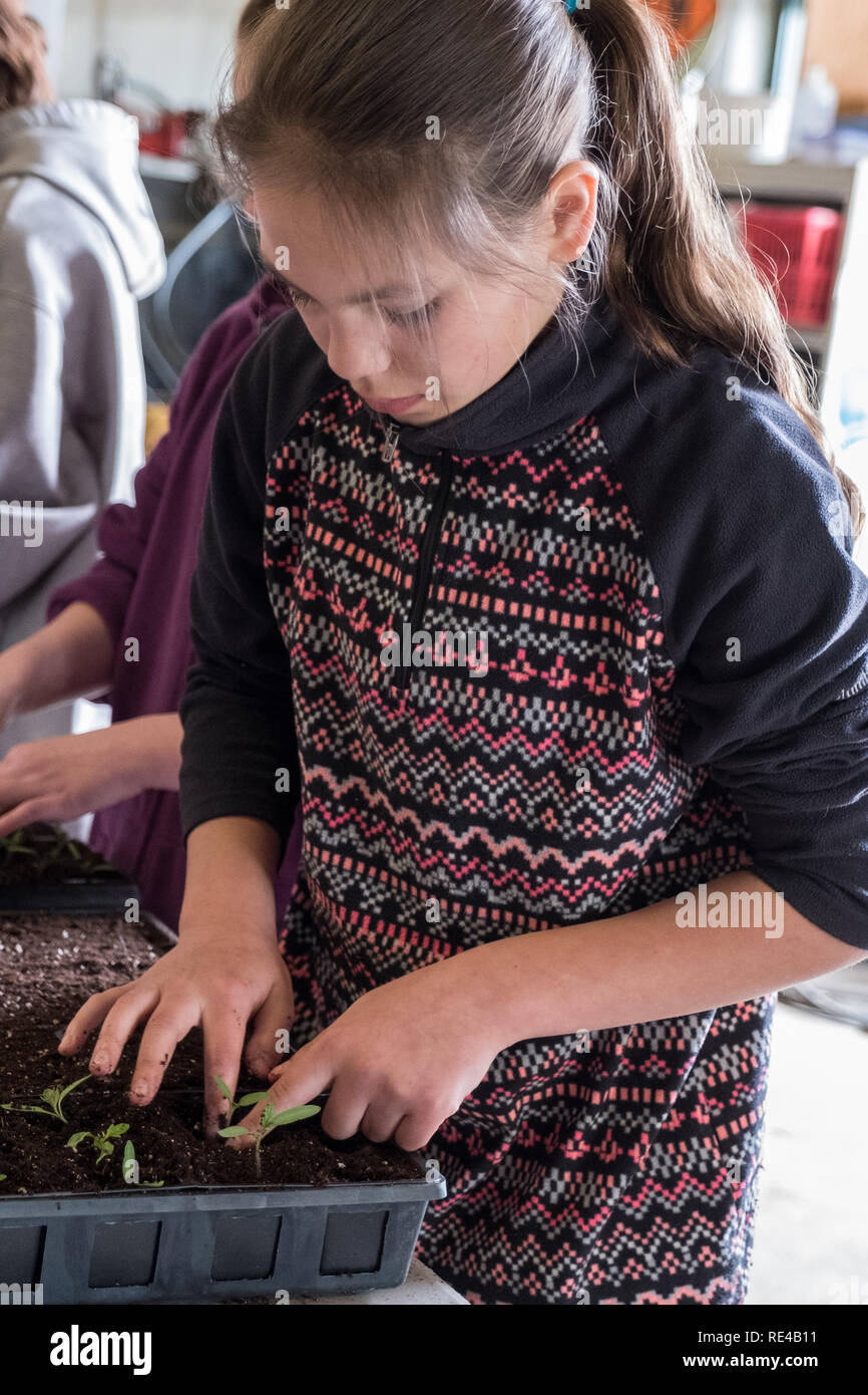 Planting For Flats High Resolution Stock Photography and Images - Alamy