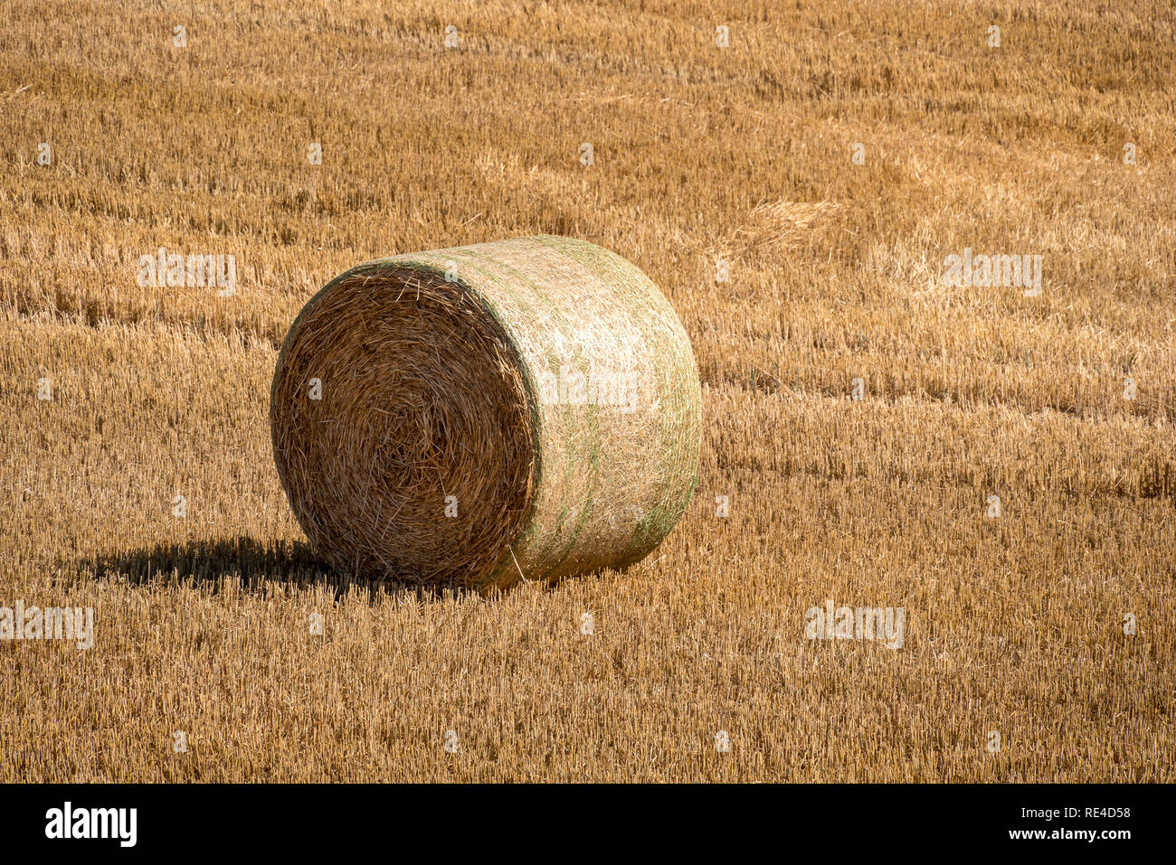 Foreground bales hi-res stock photography and images - Alamy