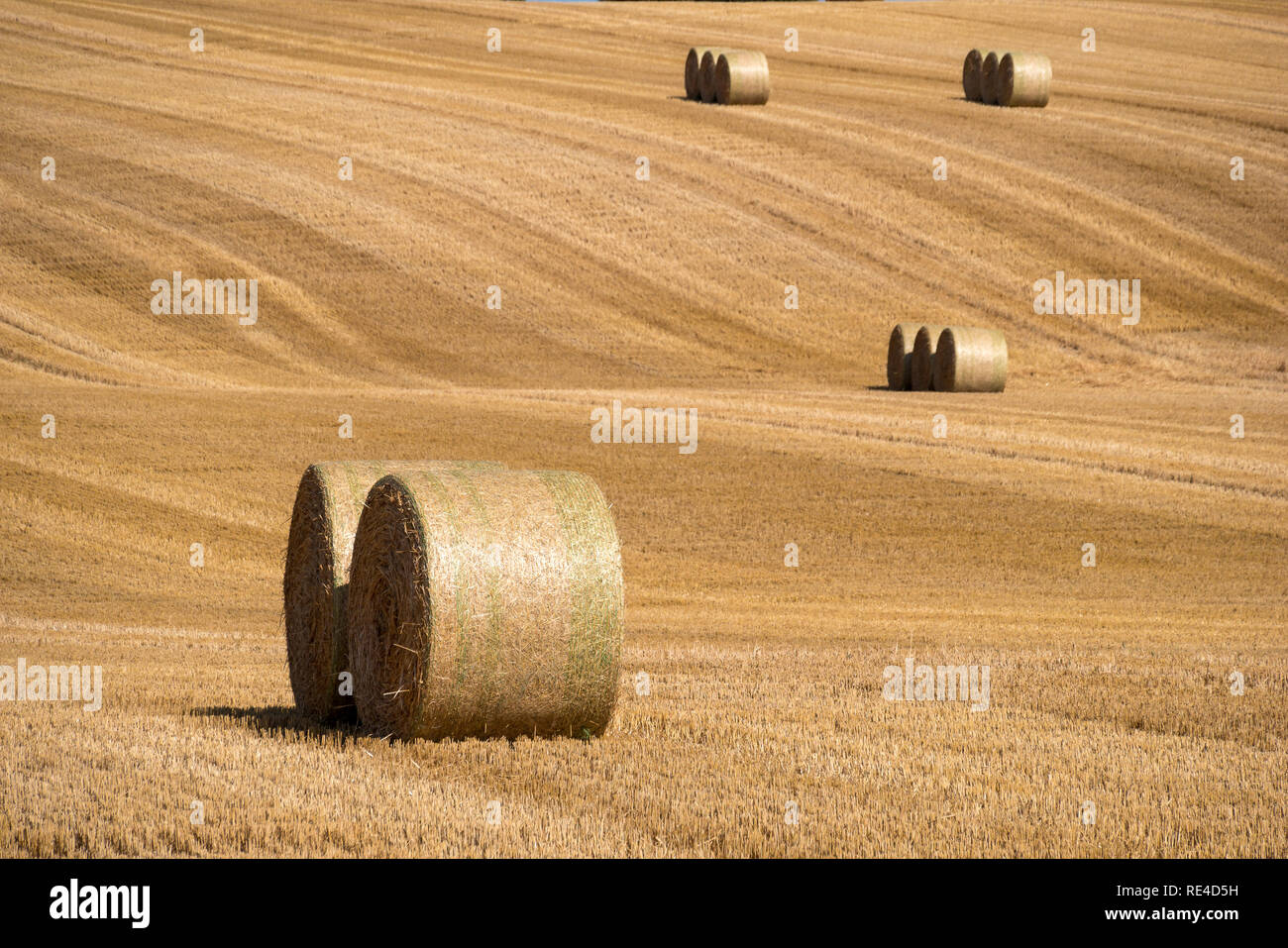 Grain roller hi-res stock photography and images - Alamy