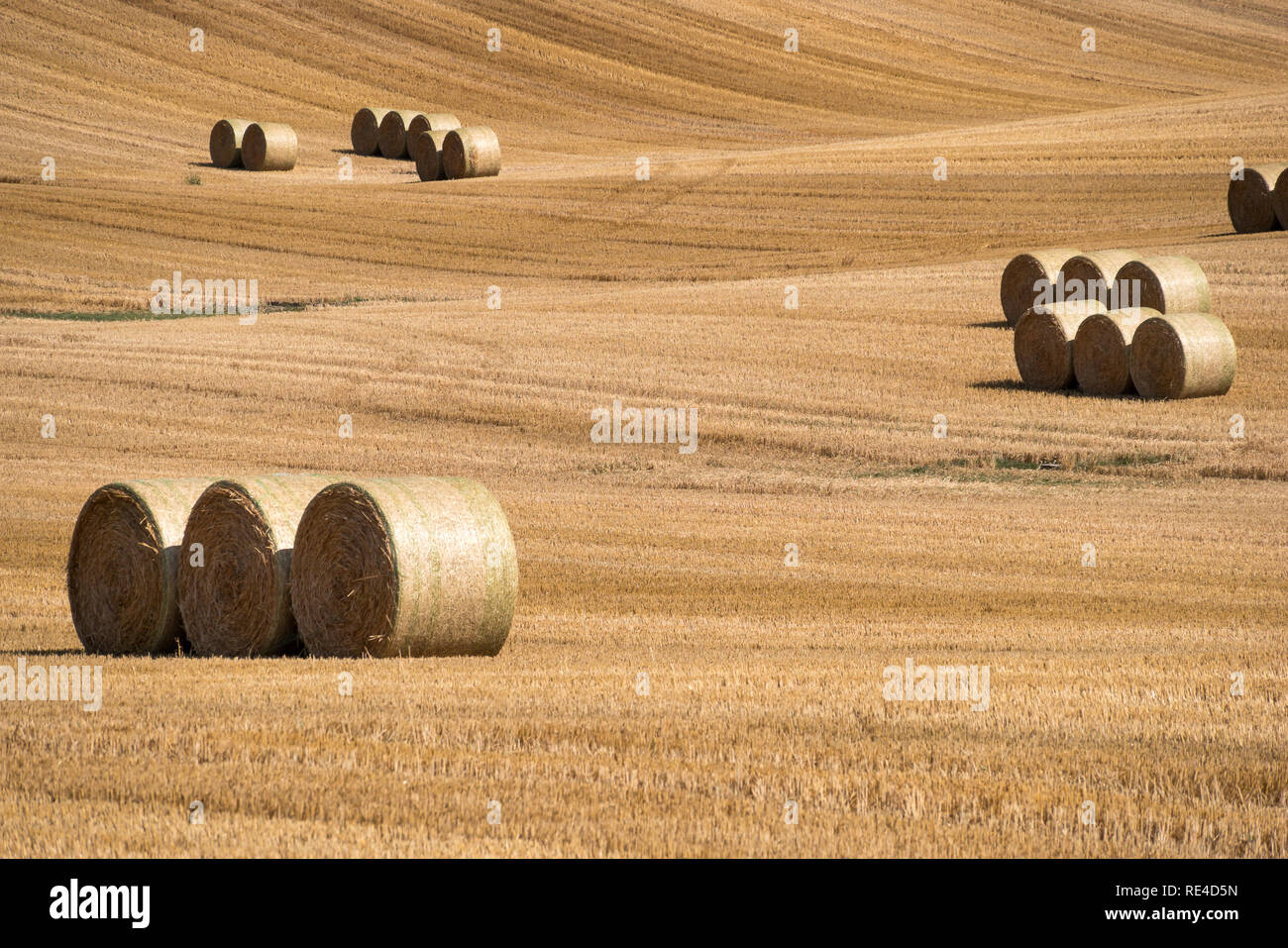 Grain roller hi-res stock photography and images - Alamy