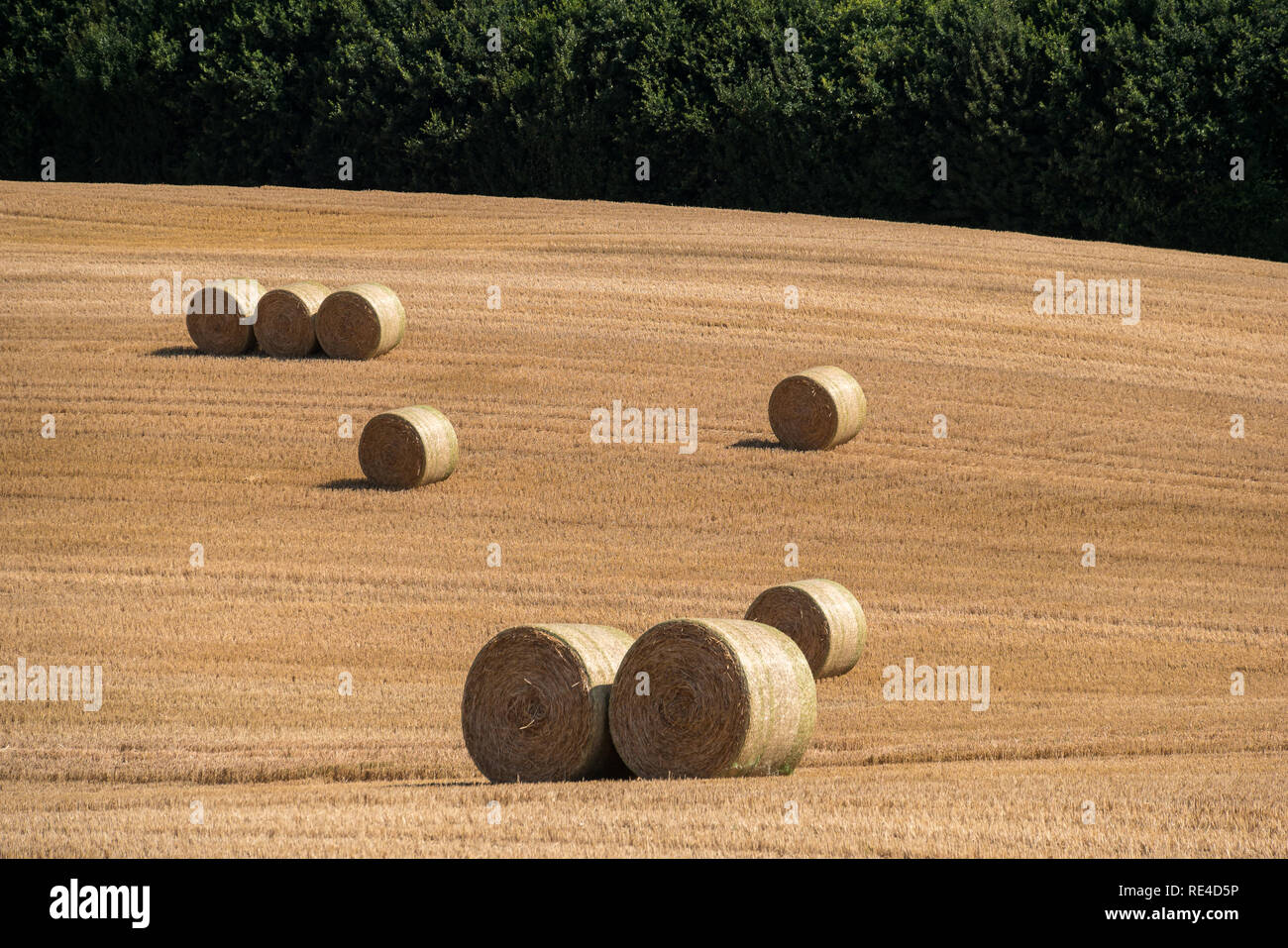 Hay bale ball hi-res stock photography and images - Alamy