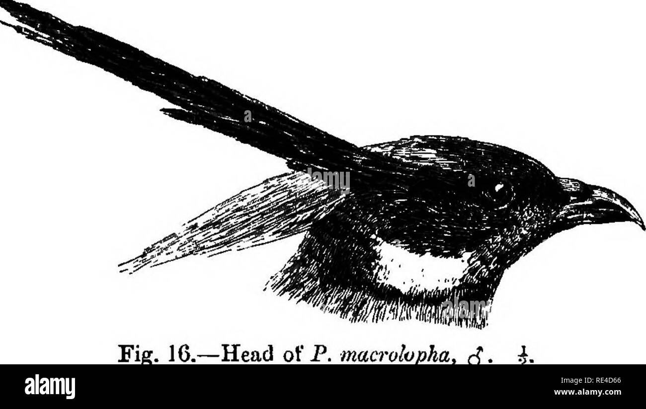 Almora Black and White Stock Photos & Images - Alamy