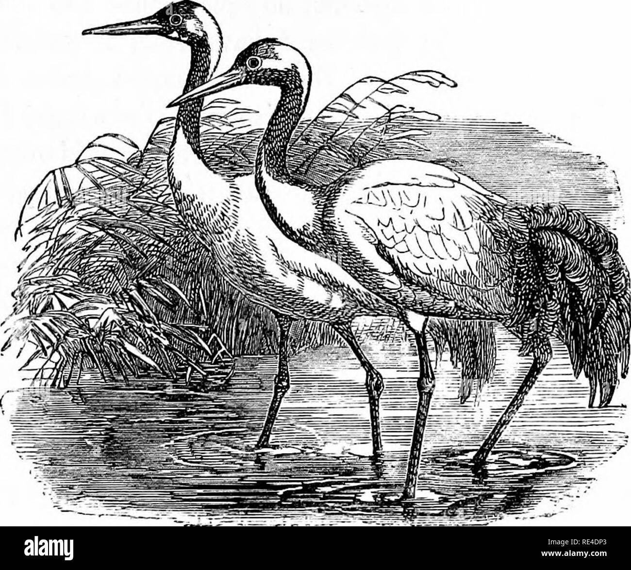 449 tab hi-res stock photography and images - Alamy