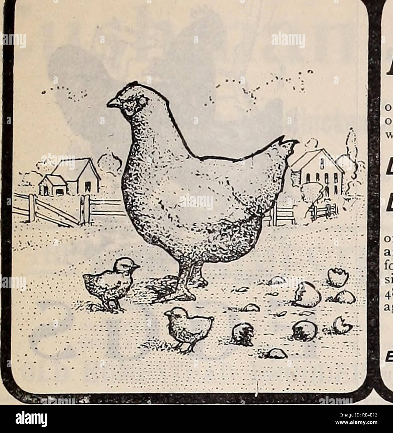 Eastern box hatch hi-res stock photography and images - Alamy