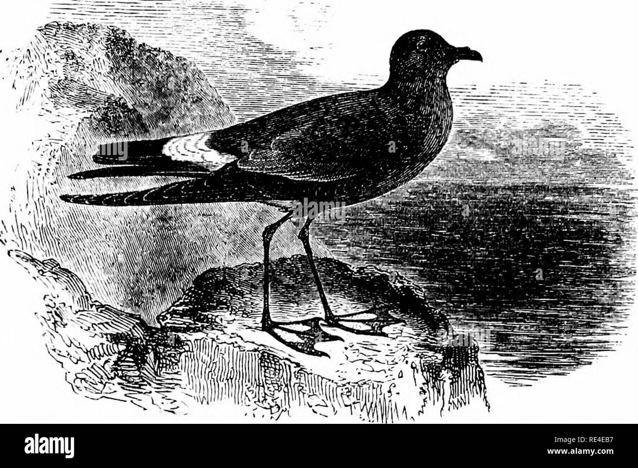 6 am call Black and White Stock Photos & Images - Alamy