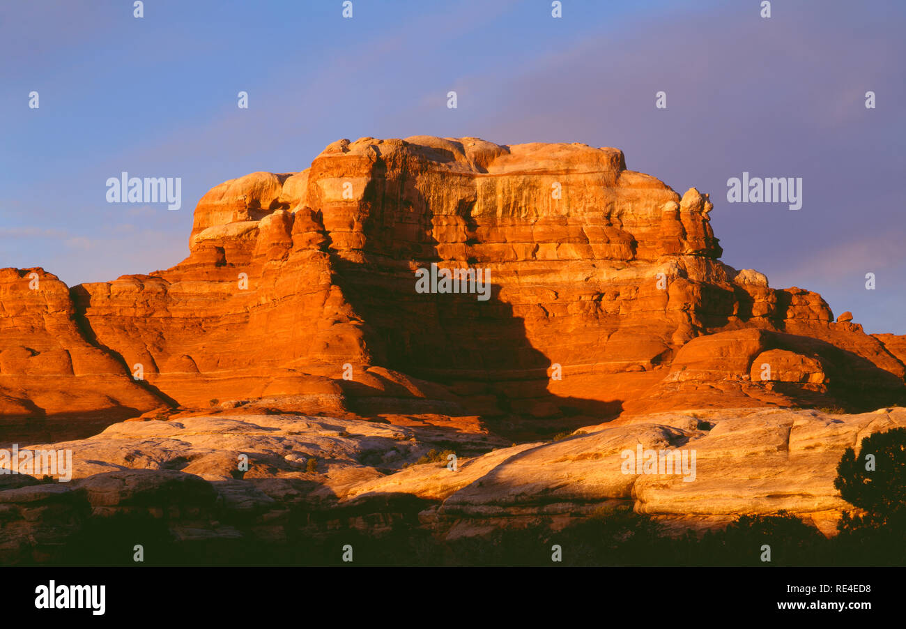USA, Utah, Canyonlands National Park, Sunrise reddens sandstone butte ...