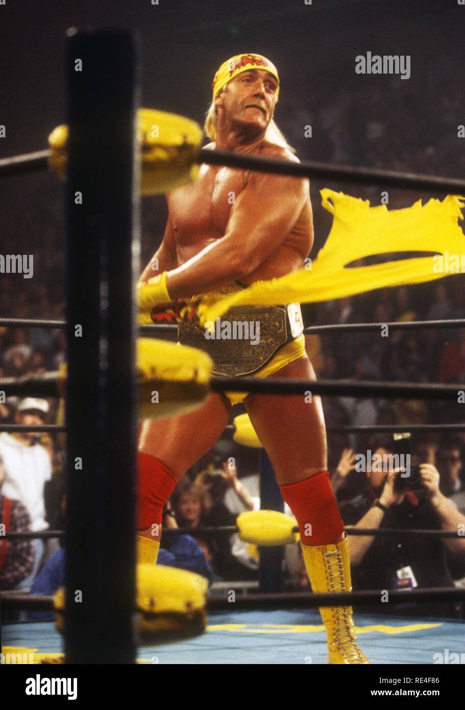 Hulk Hogan 1990 Photo By John Barrett/PHOTOlink Stock Photo - Alamy