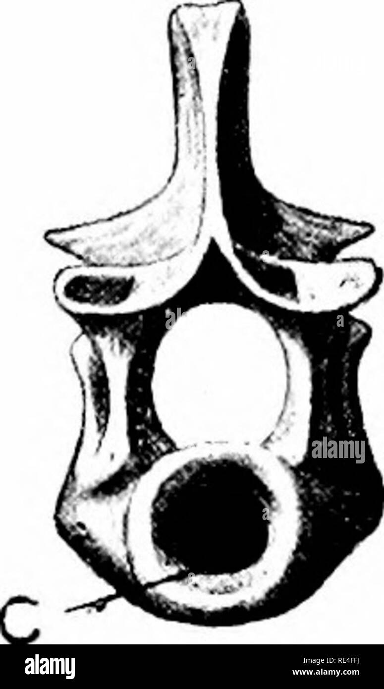 Bi concave hi-res stock photography and images - Alamy