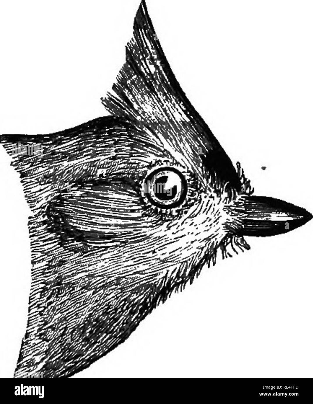 1890 catalog Black and White Stock Photos & Images - Alamy