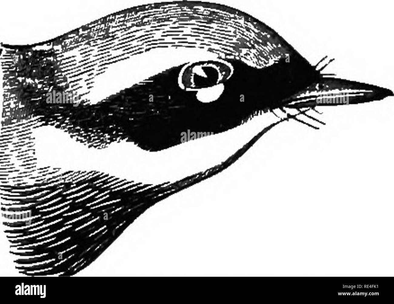 No 1053 Black and White Stock Photos & Images - Alamy