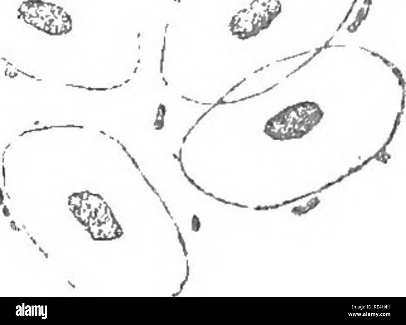 Laboured breathing hi-res stock photography and images - Alamy