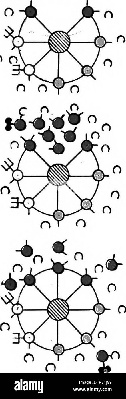 3 f union Black and White Stock Photos & Images - Alamy