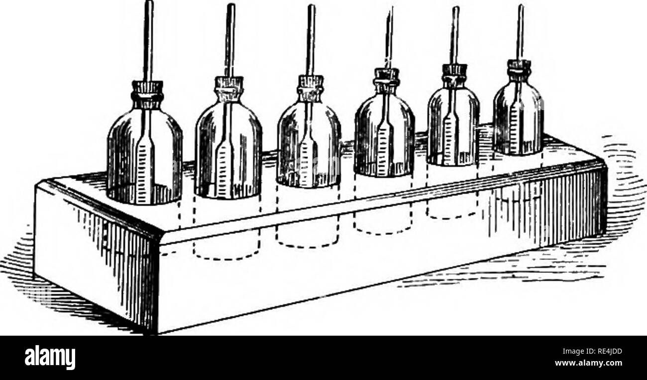 Staining rack hi-res stock photography and images - Alamy
