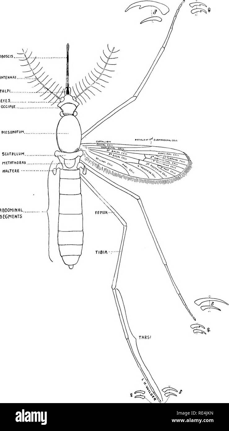 1871 1911 Black and White Stock Photos & Images - Alamy