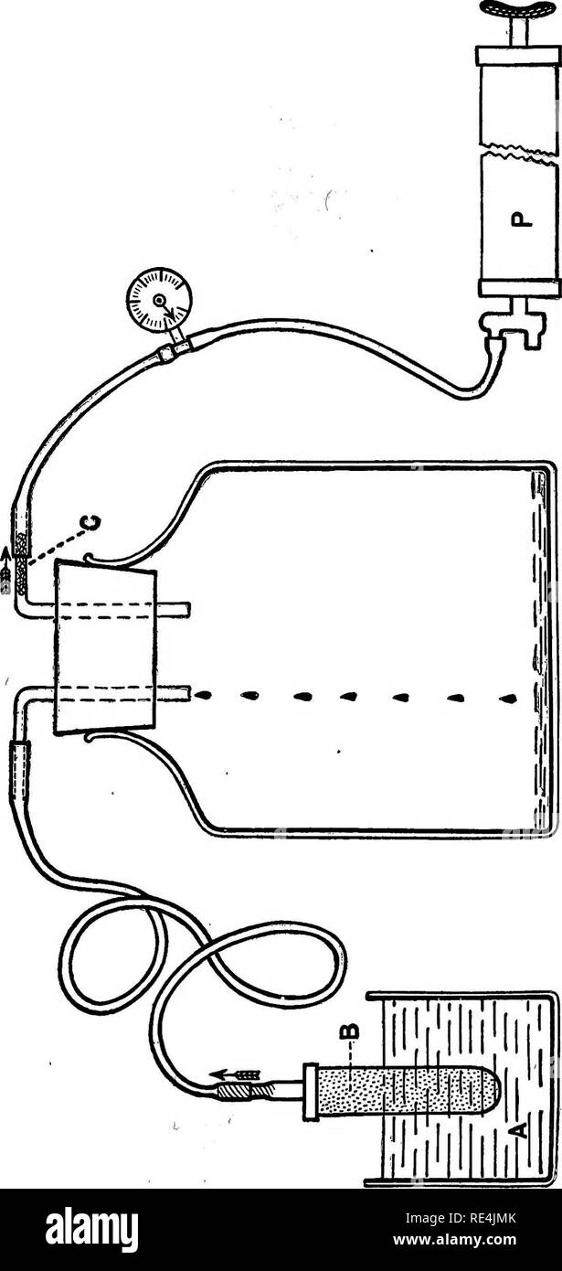 1871 1911 Black and White Stock Photos & Images - Alamy