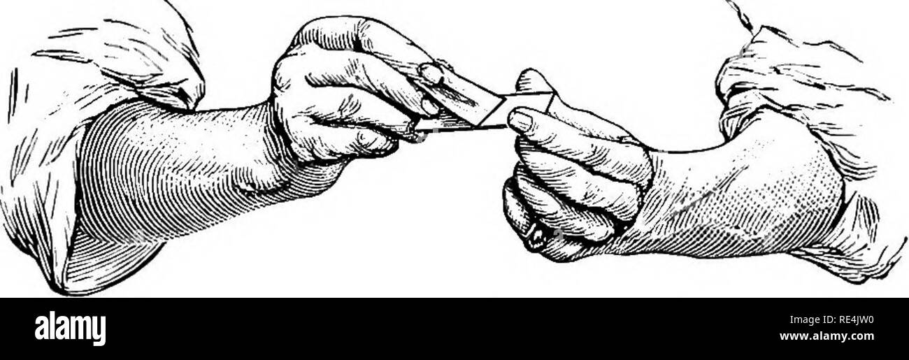 Blood gutter Black and White Stock Photos & Images - Alamy