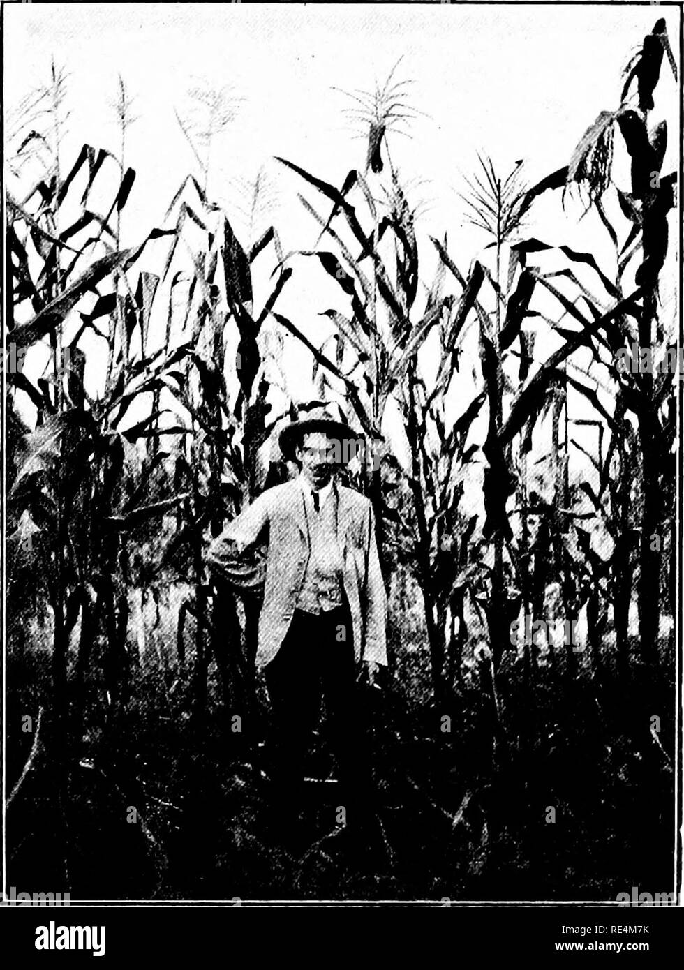 Feed Book Characters