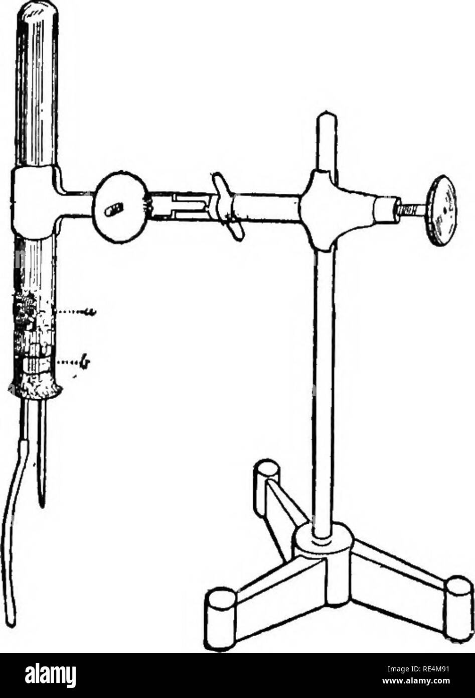. A text-book of bacteriology. Bacteriology. 84 CL'LTIVATIOX OF ...