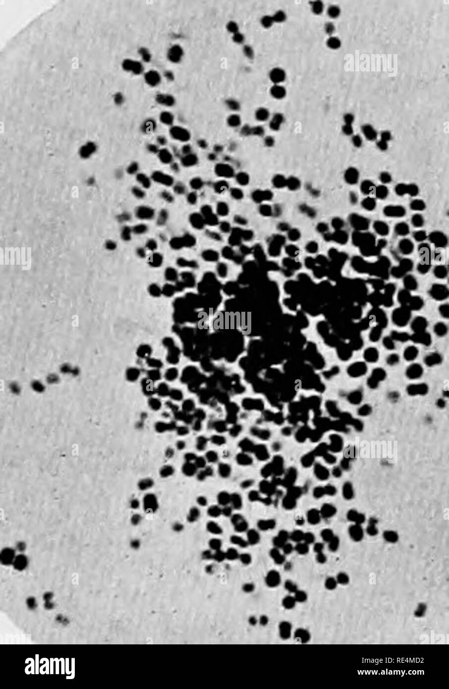 Reach around Black and White Stock Photos & Images - Alamy