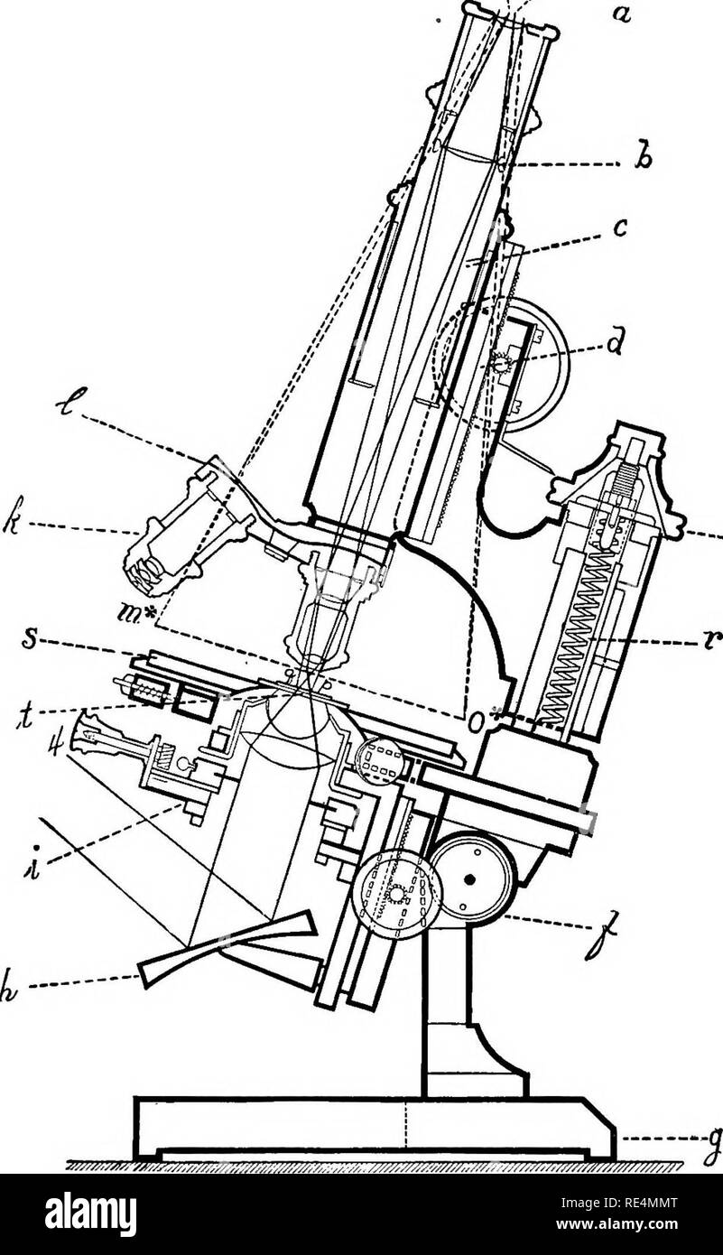 Ocular micrometer hi-res stock photography and images - Alamy