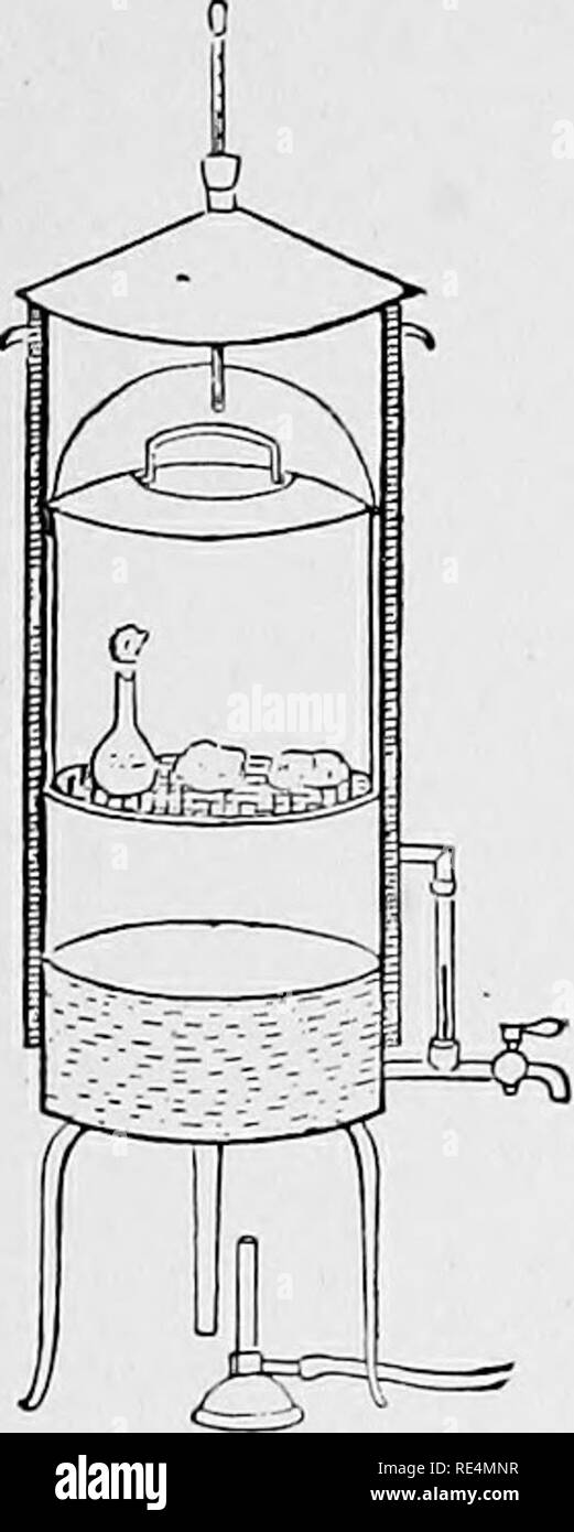 . Manual of bacteriology. Bacteriology. 30 METHODS OF CULTIVATION OF ...