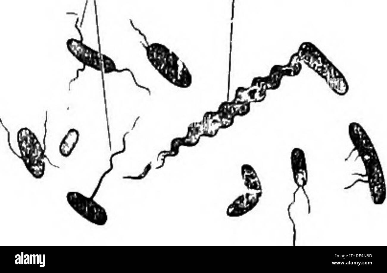 Rancid like smell Black and White Stock Photos & Images - Alamy