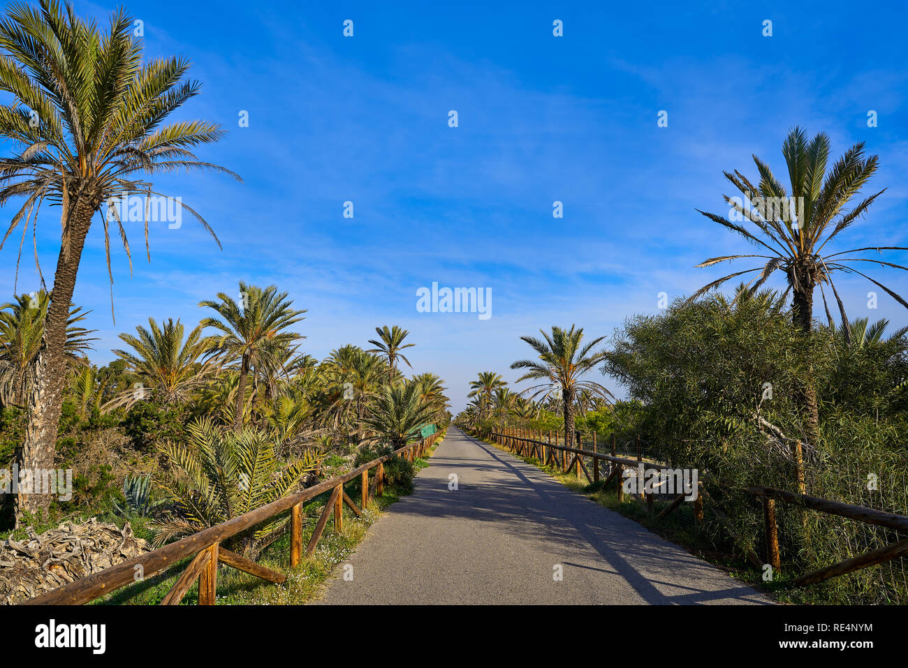 Guardamar dunes hi-res stock photography and images - Alamy