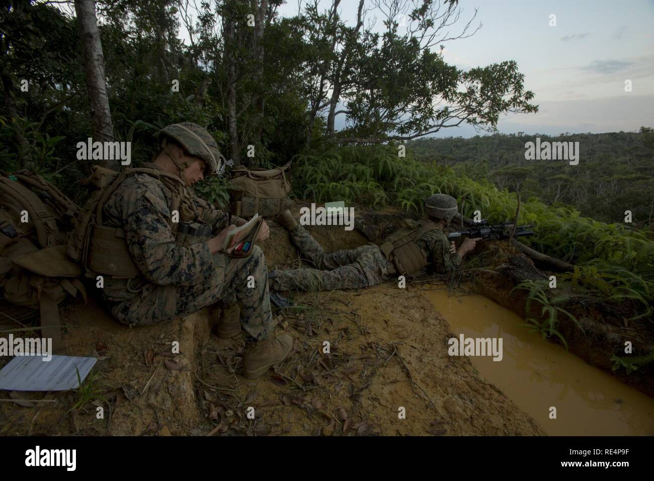 3d light armored reconnaissance battalion hi-res stock photography and ...