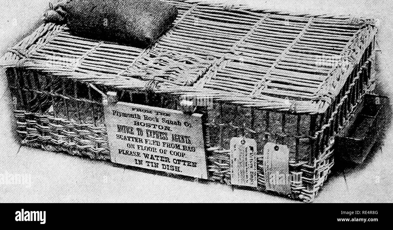 Receives baskets Black and White Stock Photos & Images - Alamy