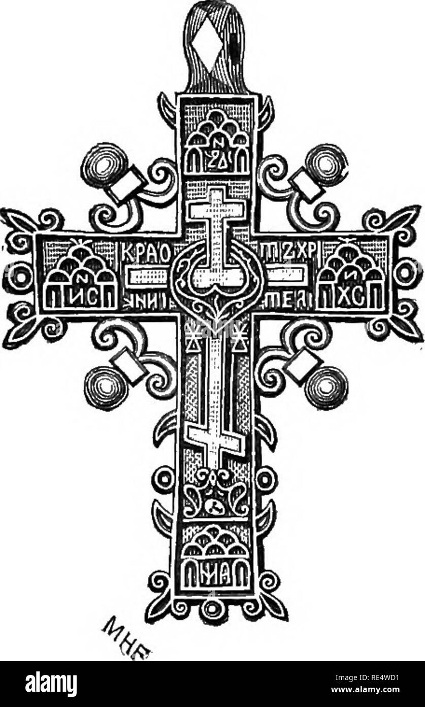 . A history of British birds. Birds. 434 BRITISH BIRDS. long tapeworm ...